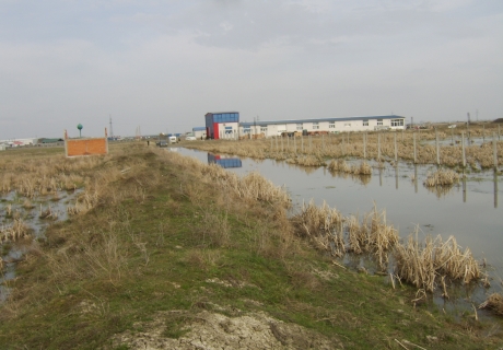 Teren intravilan 22.053 mp, Sacalaz, jud. Timis - Fairsolve.com